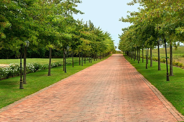 Aménagement de jardin à Lorient : plantation, clôture, murets